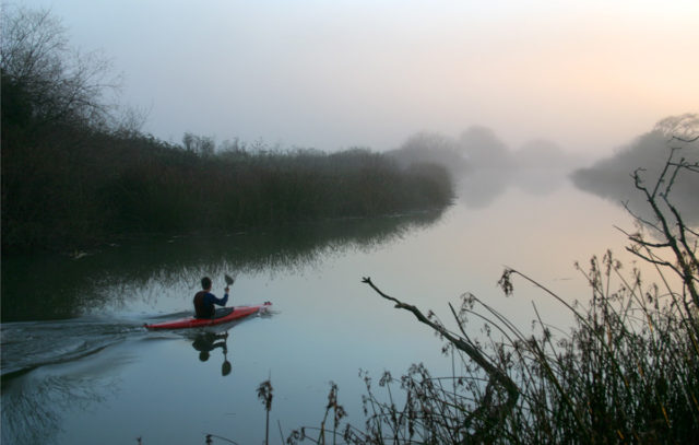 Bay Nature Magazine: A Rich Birdwatching and Kayaking Spot in Point Reyes