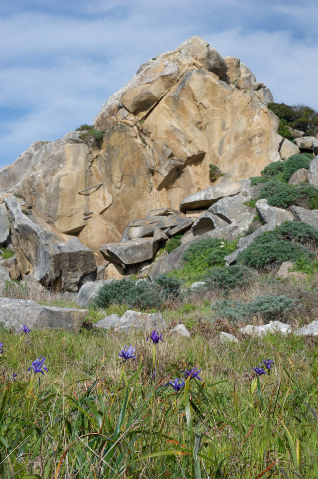 Bay Nature Magazine: The Geologic History of Salt Point State Park
