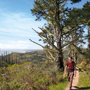 Crowning Glories: 50 Years of Point Reyes