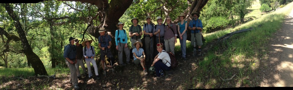Publisher's Circle Cooley Ranch hike - Photos!