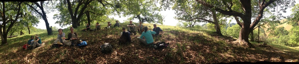 Publisher's Circle Cooley Ranch hike - Photos!