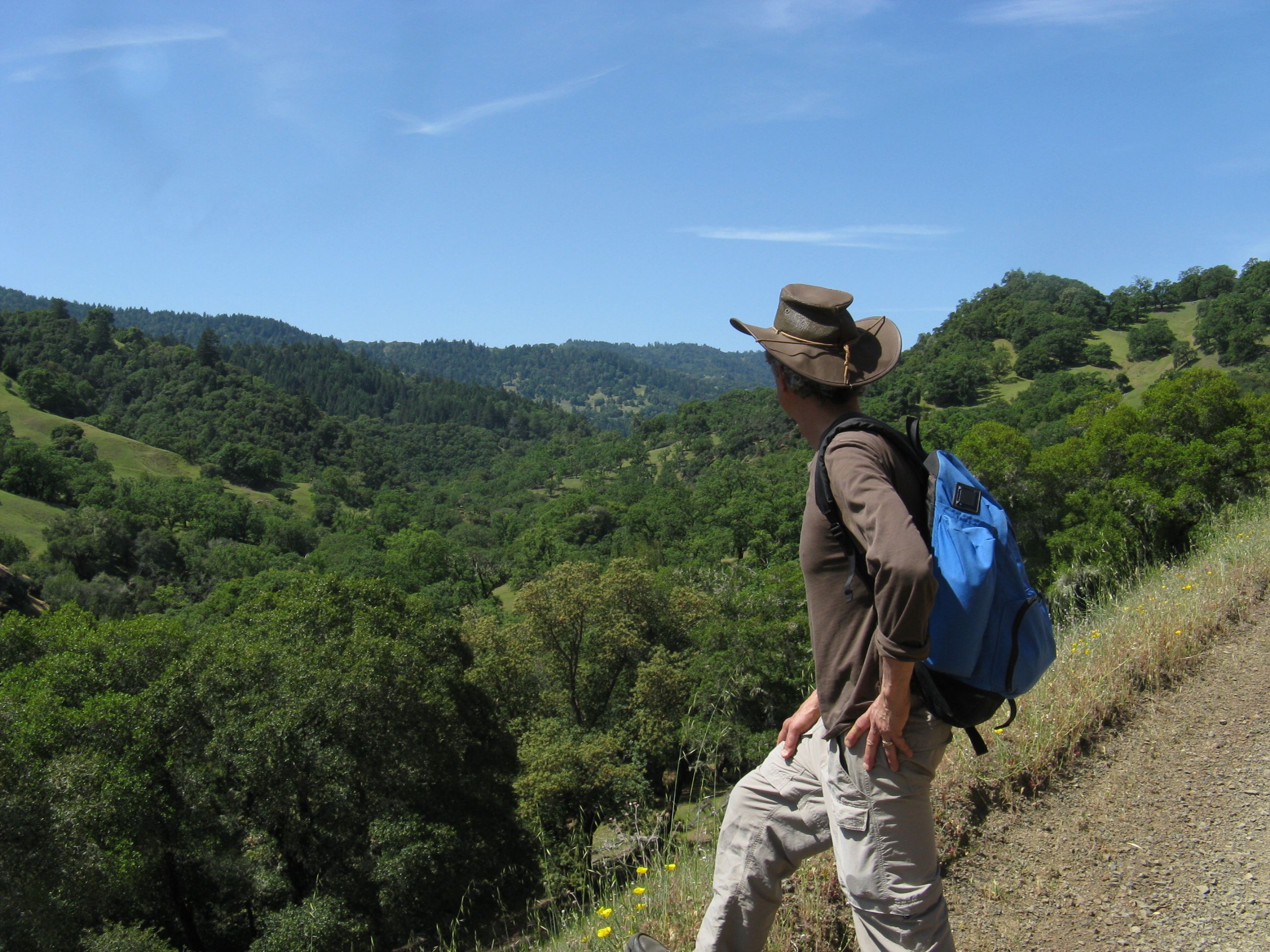 Publisher's Circle Cooley Ranch hike - Photos!