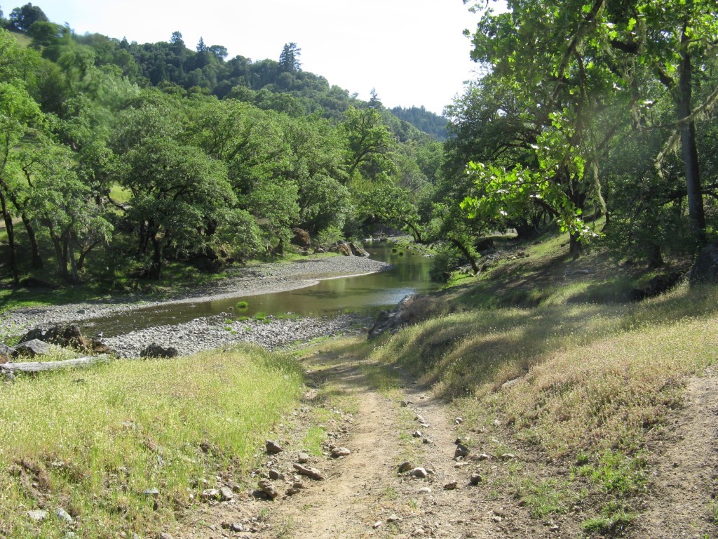 Publisher's Circle Cooley Ranch hike - Photos!