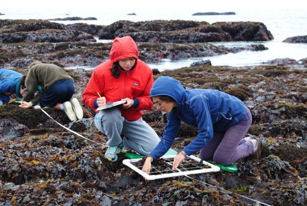 The Scientists are Amateurs, But Their Coastal Research Makes a Splash