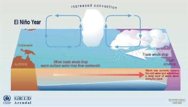 Bay Nature: What Is El Nino, Why Is it Called That, and What Does it Mean?