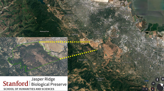 Essays | Natural History from Ciudad Juárez to Jasper Ridge - Bay Nature