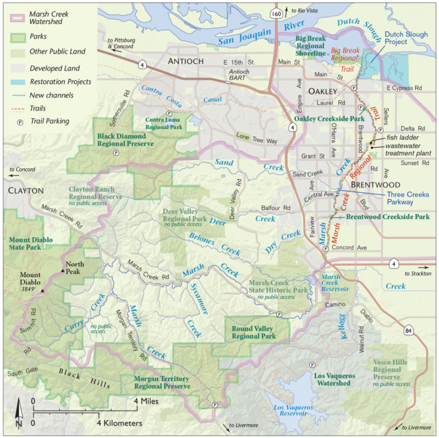 Restoring a Watershed for Wildlife at Marsh Creek - Bay Nature
