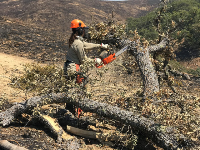 An Early Look at Lightning Fire Damage in Bay Area Parks - Bay Nature