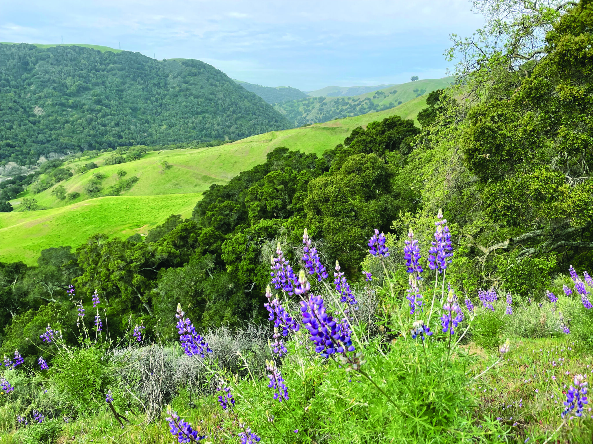 Best Romantic Hikes in the San Francisco Bay Area - Bay Nature