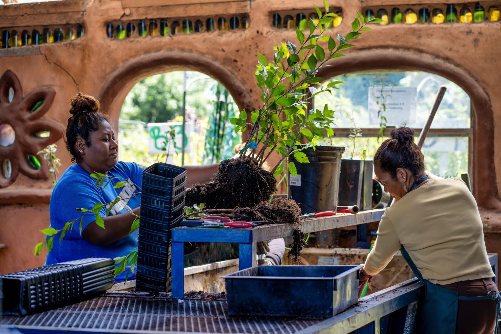 Save Mount Diablo purchase Curry Canyon Ranch; USFWS study pesticide ...