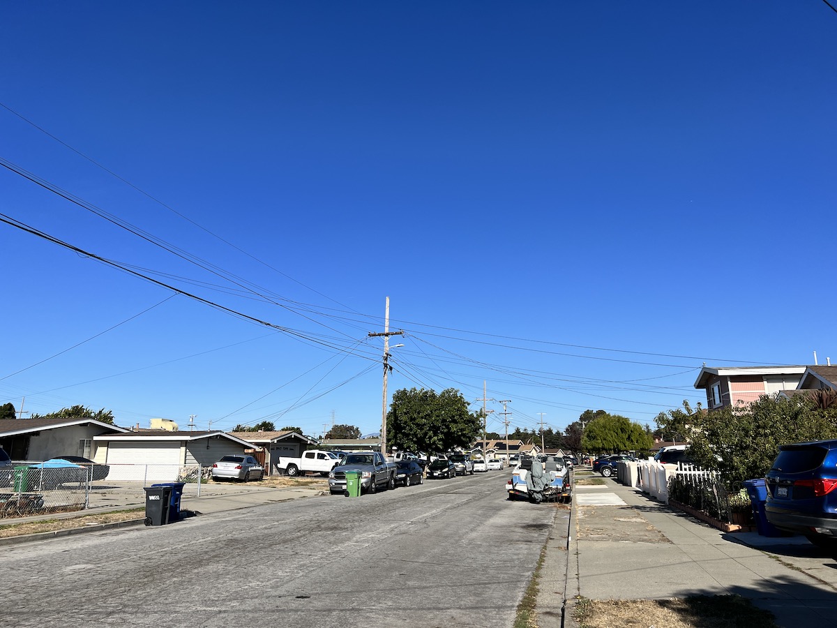 Bay Area Trees to Get $42 Million from USDA - Bay Nature