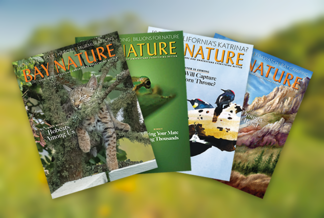 Become a Member - Bay Nature