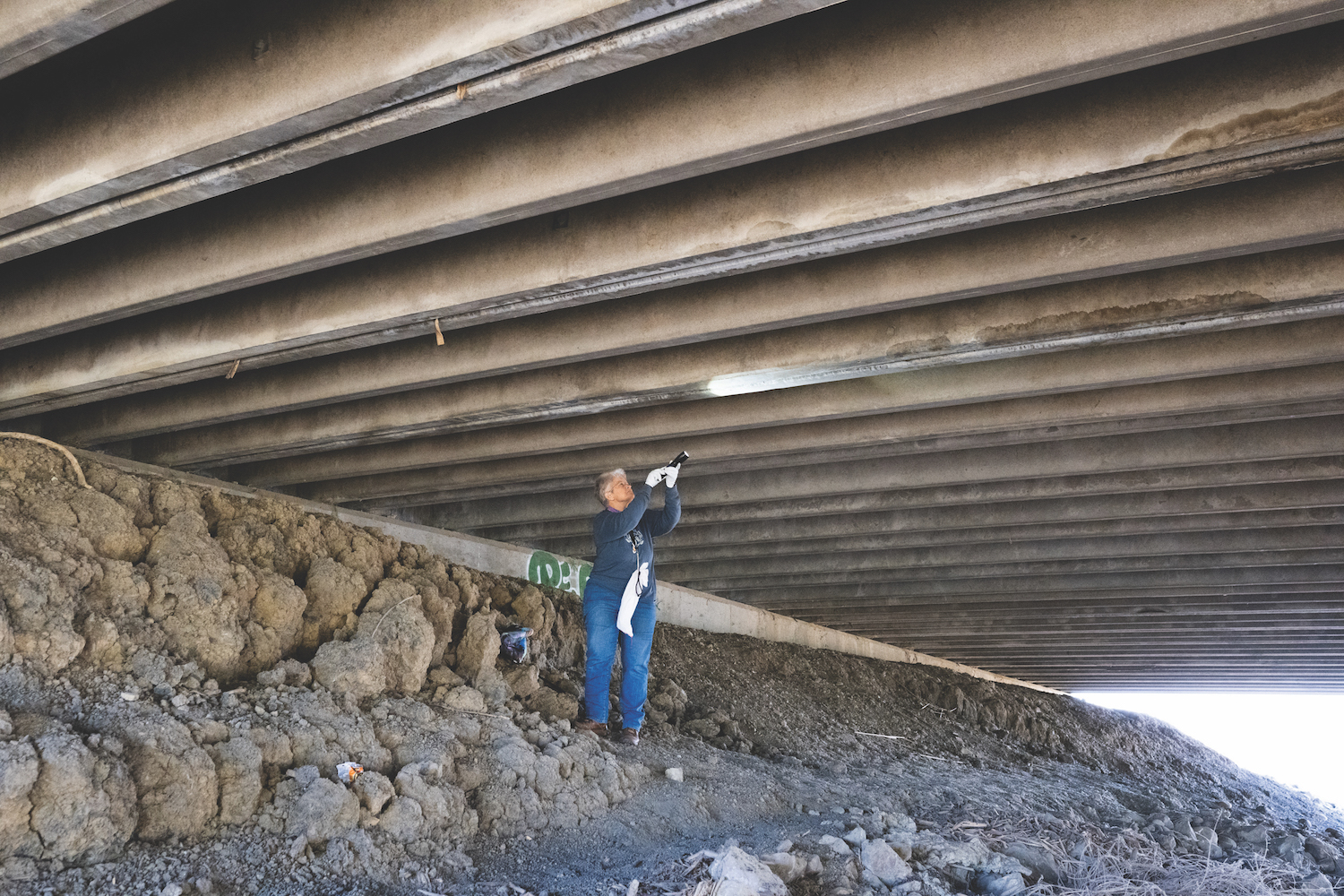 The Bat Healers - Bay Nature