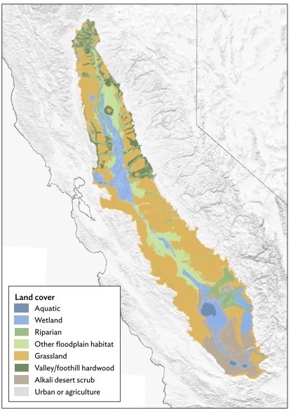 Dos Rios Ranch Is the Everything Park - Bay Nature