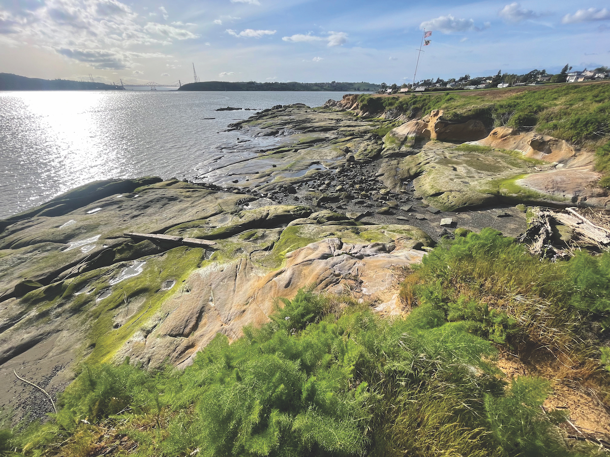 Sailing the Salt Line - Bay Nature