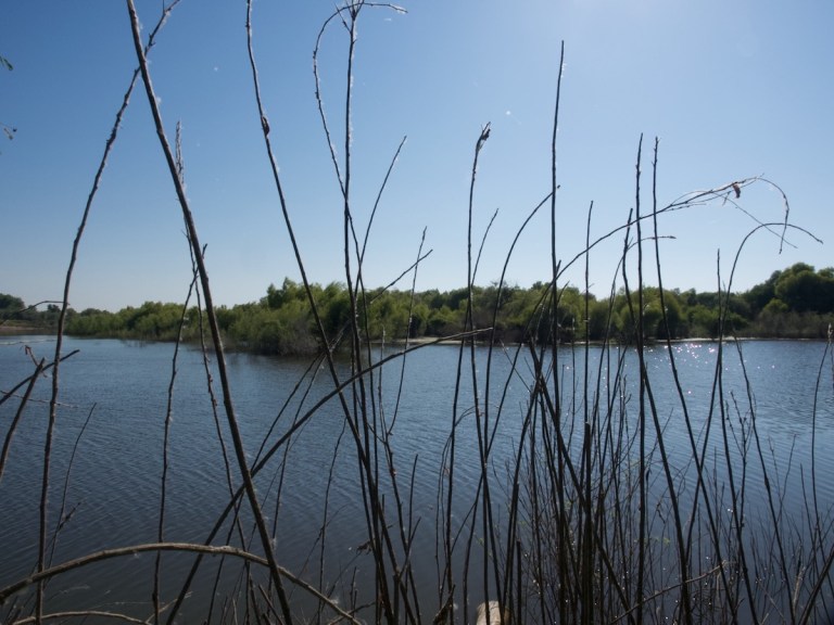 The Meaning of Dos Rios, California’s Newest State Park - Bay Nature