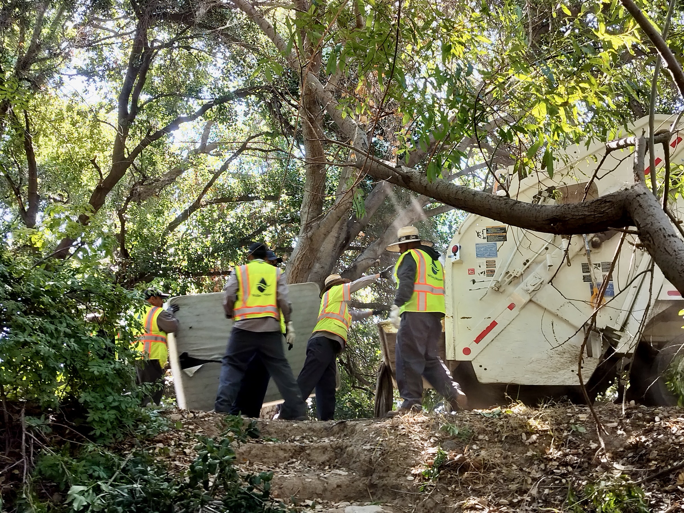 The Creek Cleanups Will Continue Indefinitely - Bay Nature