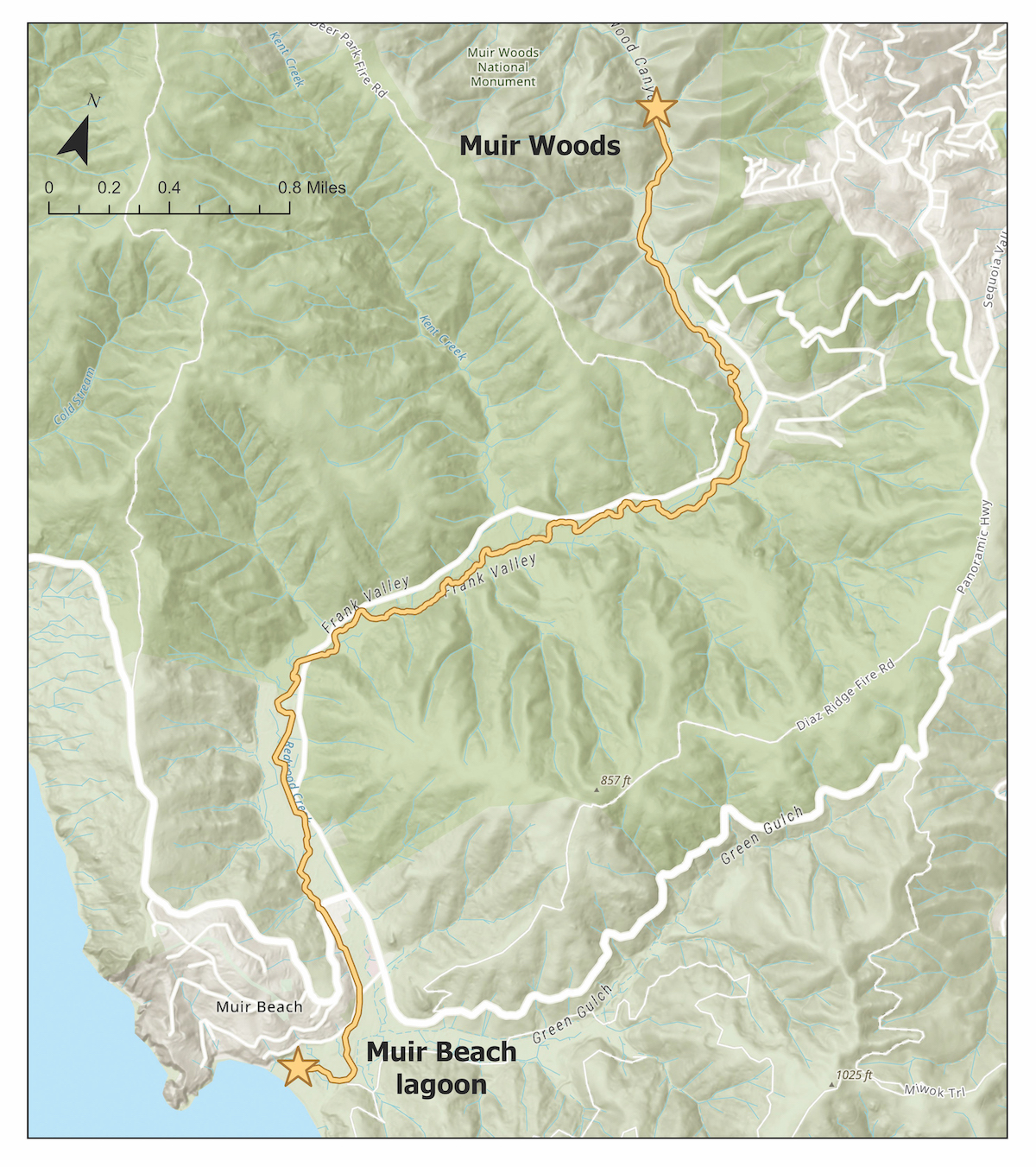 If Turtles Could Talk - Bay Nature
