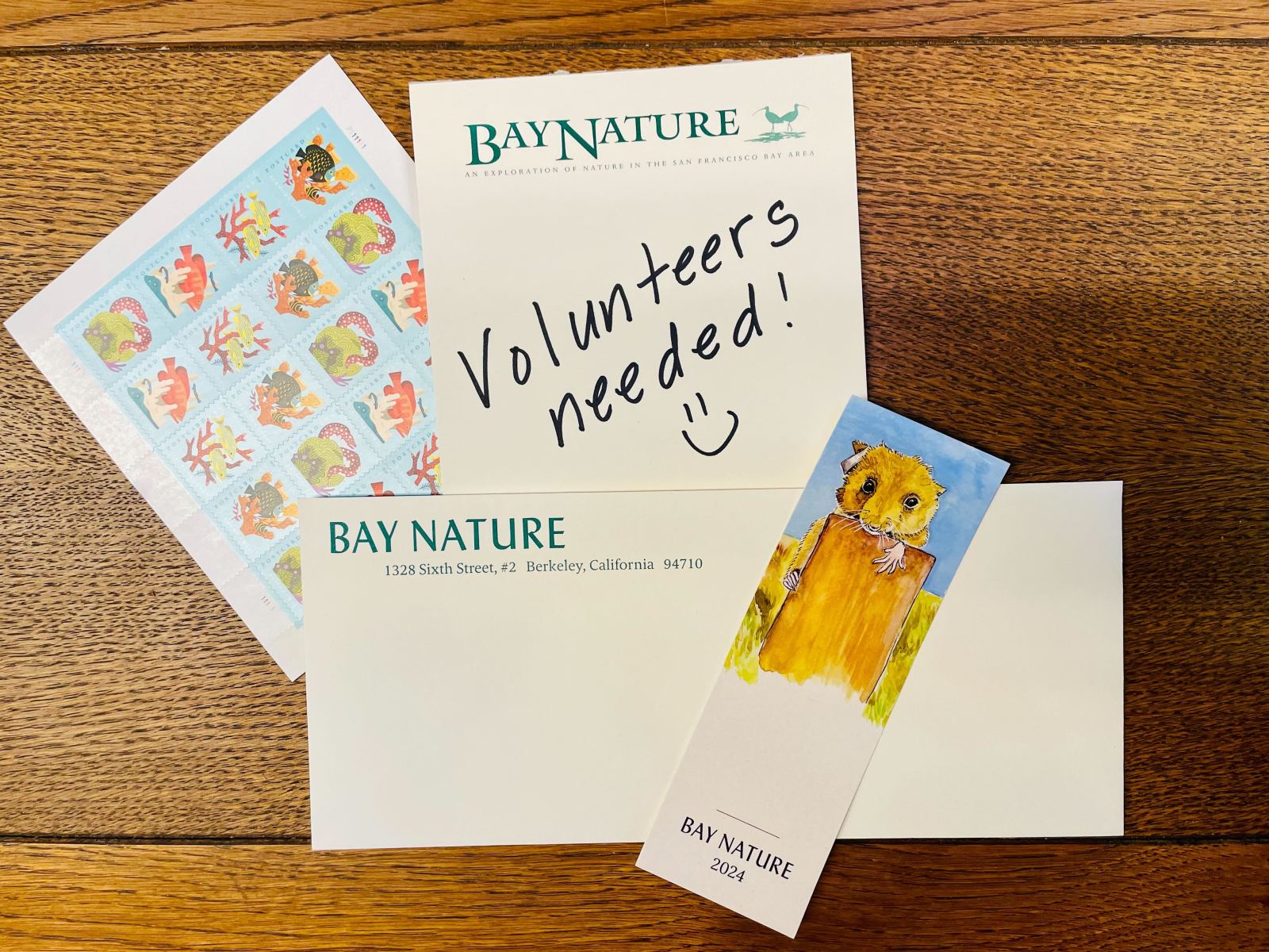 Volunteer with Bay Nature