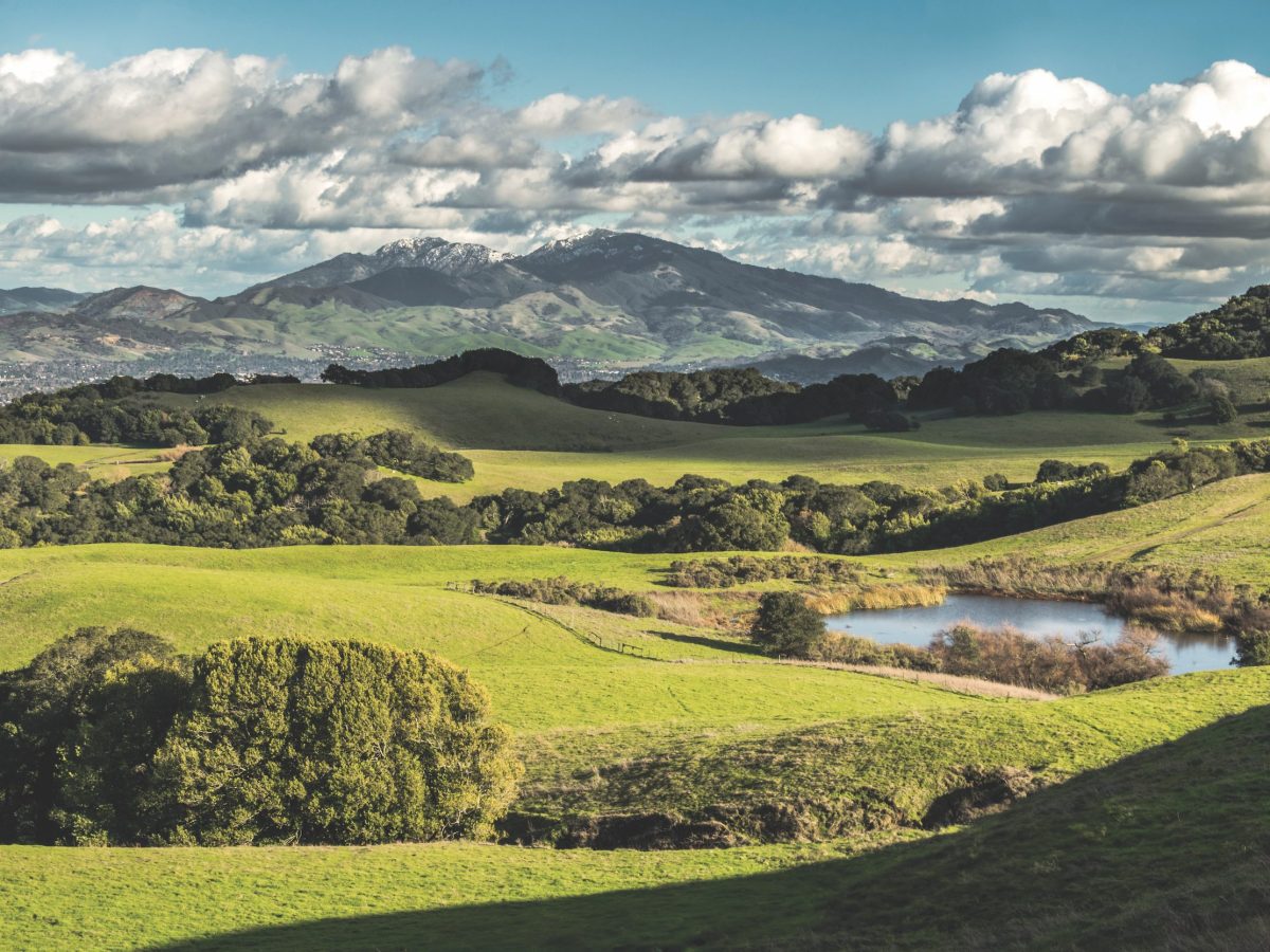 Bay Nature Magazine Home