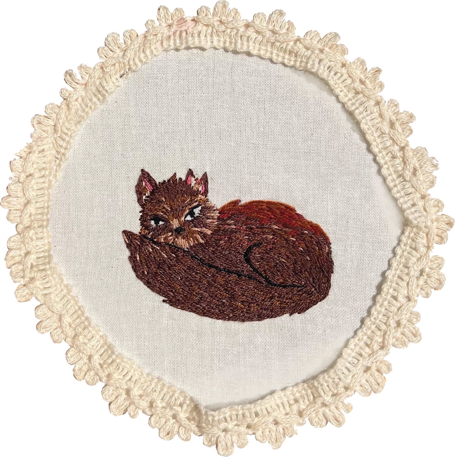 A Community and Its Cats - Bay Nature