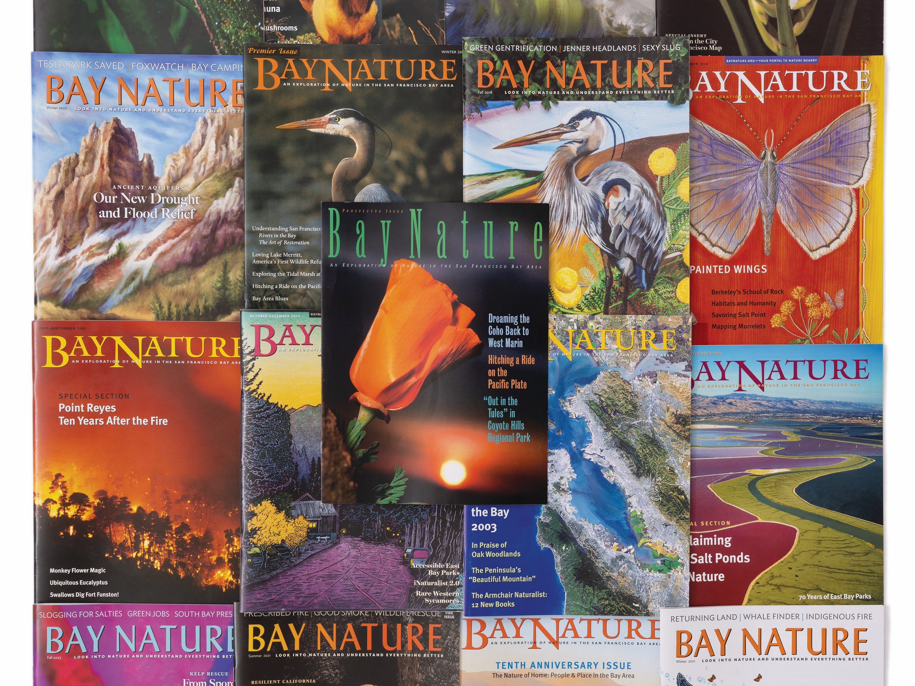 Editor's Letter: 25 Years of Cover Stories - Bay Nature