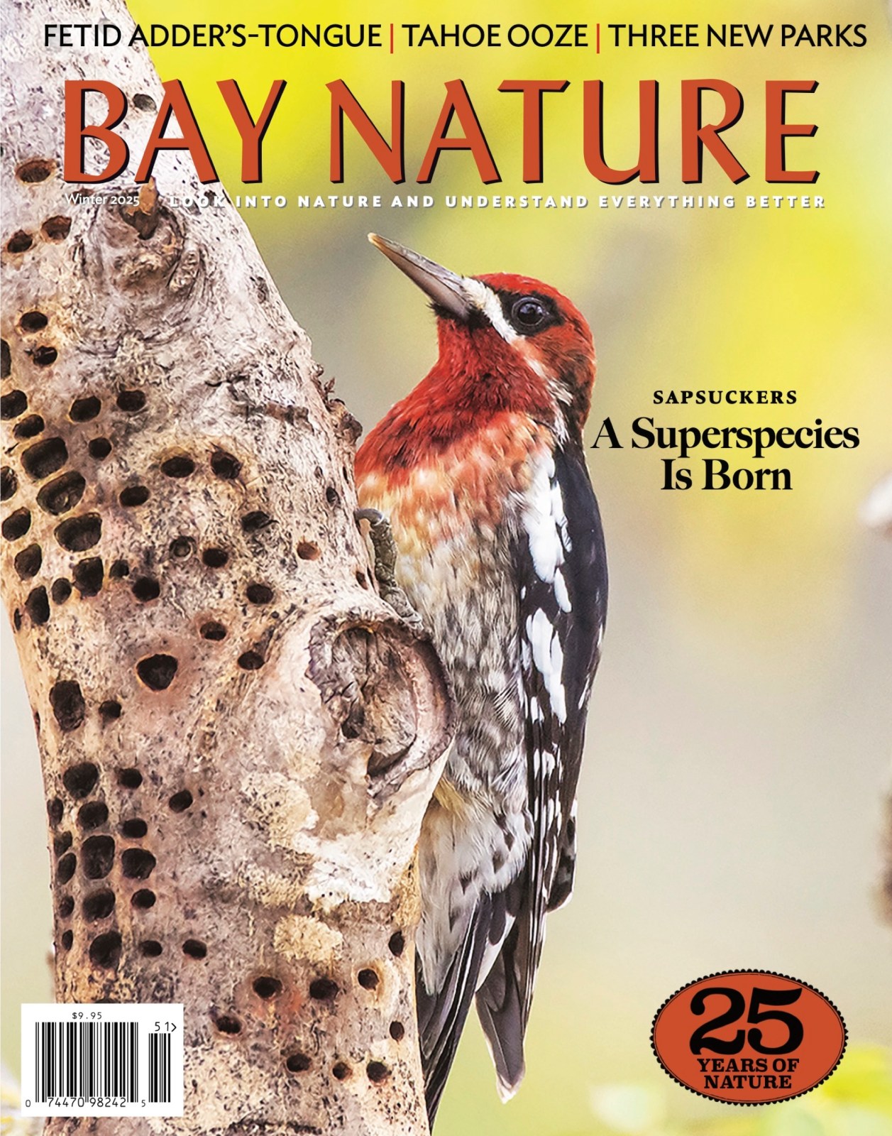 Winter 2025 - Bay Nature