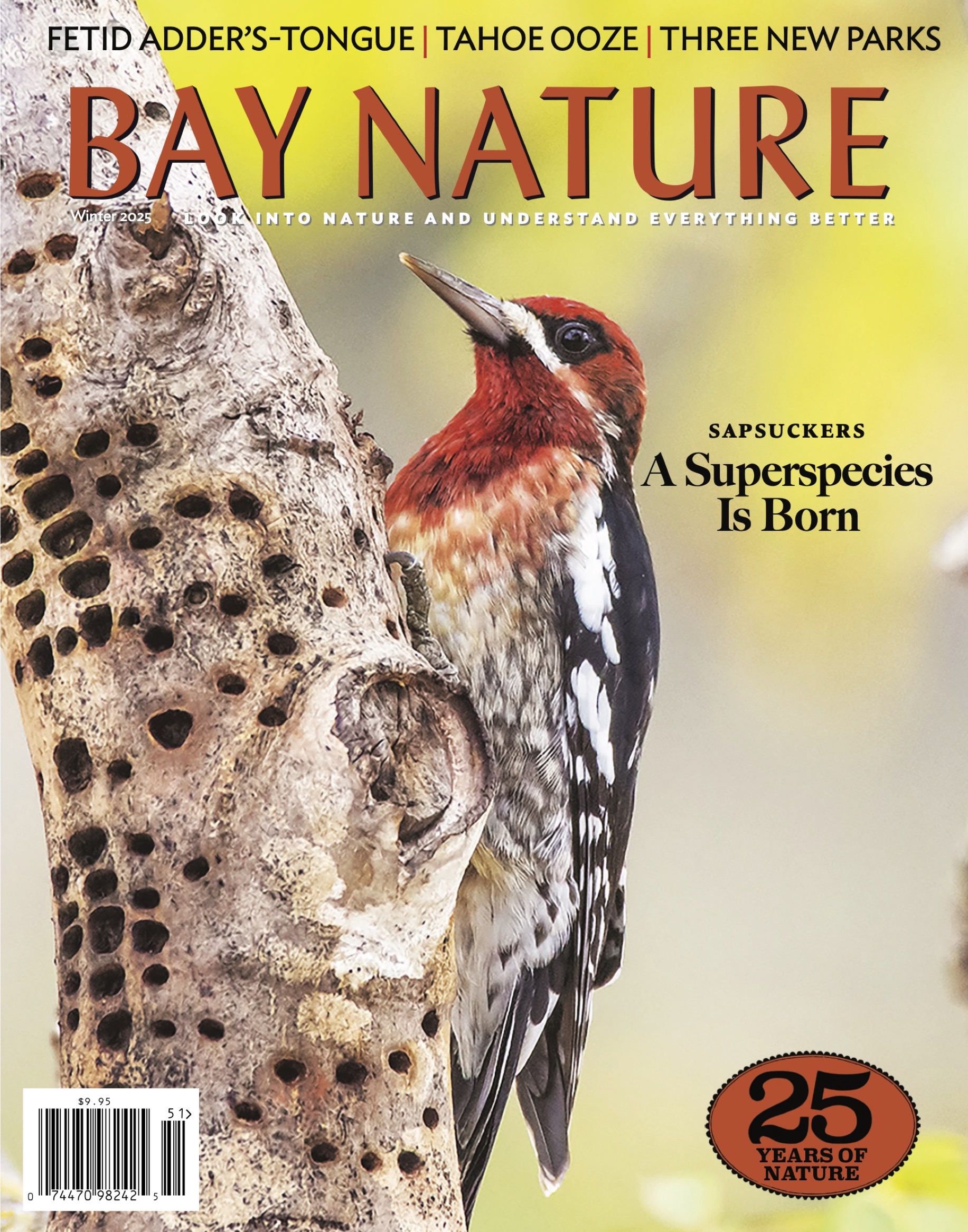 Winter 2025 - Bay Nature