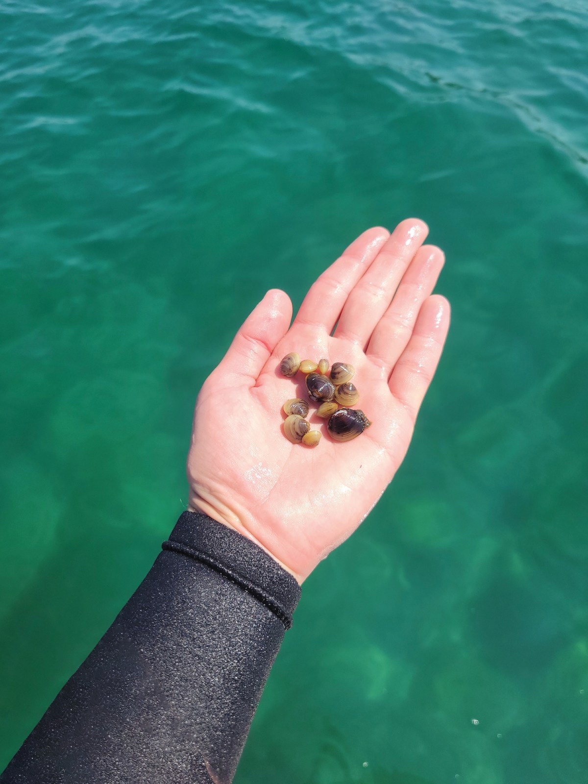 What Lies Beneath - Bay Nature