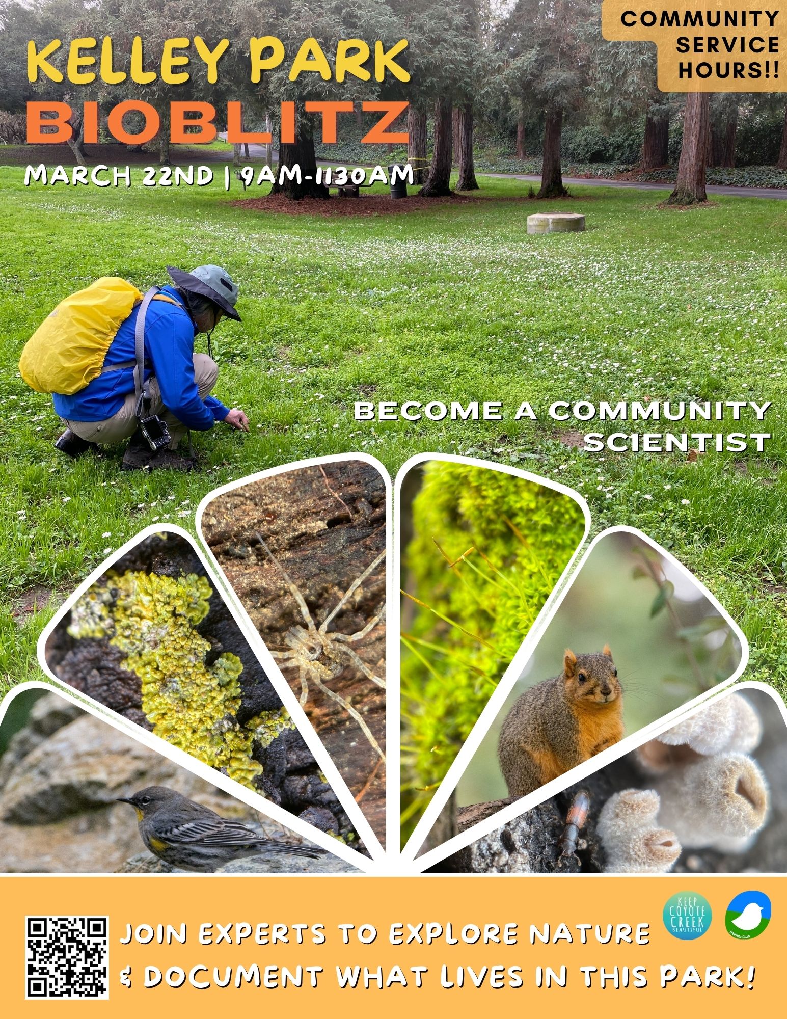Join Keep Coyote Creek Beautiful, Bioblitz Club
