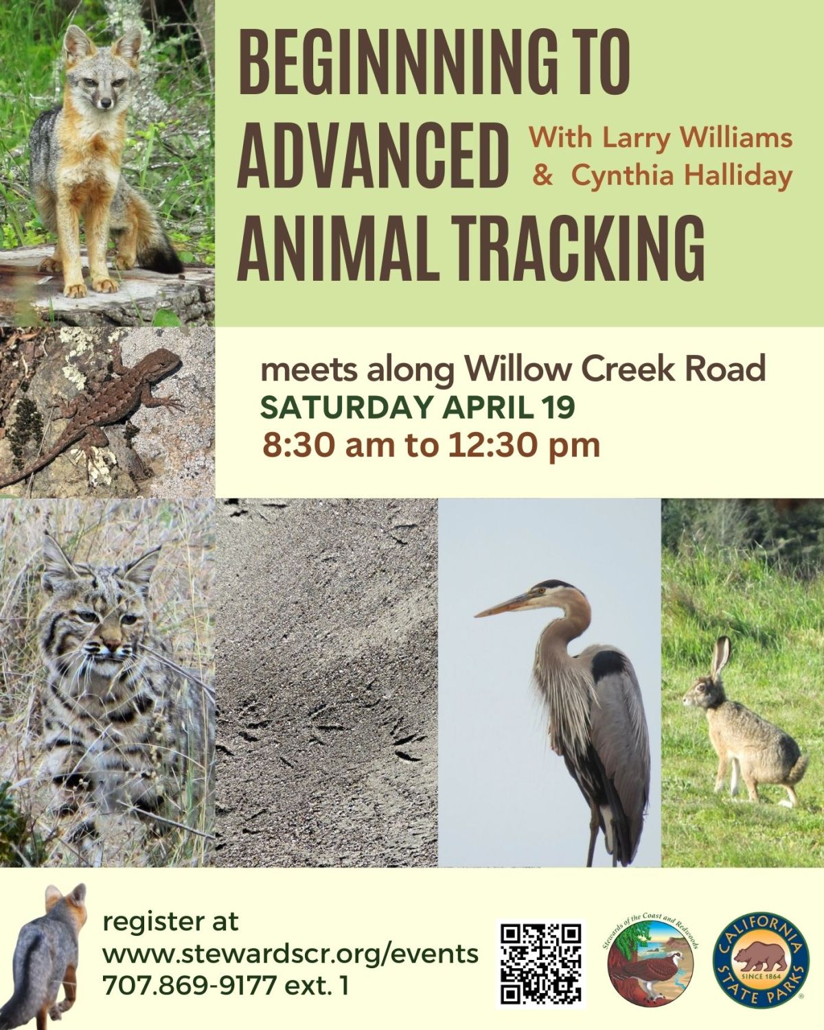Learn Animal Tracking in Willow Creek
