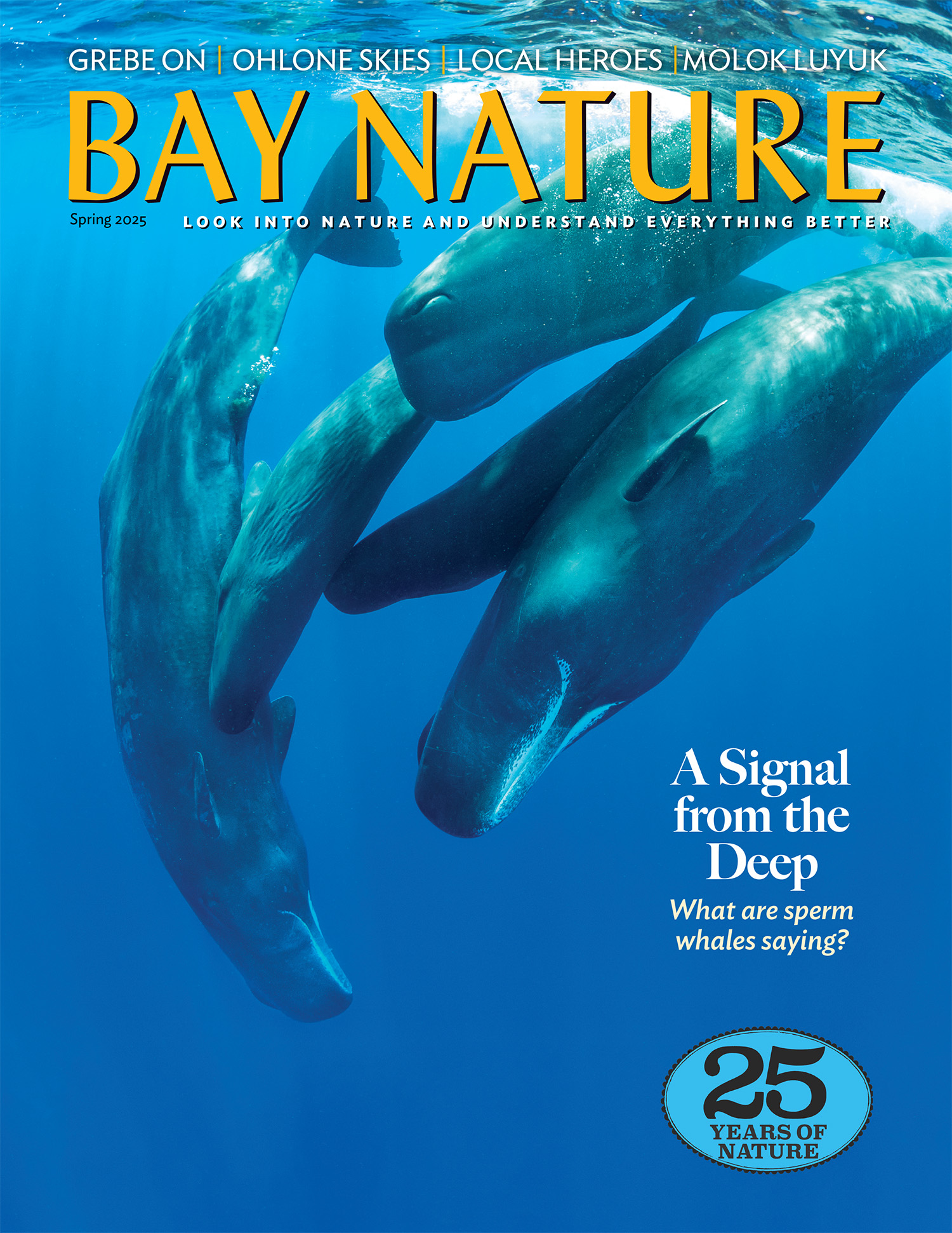 Spring 2025 - Bay Nature