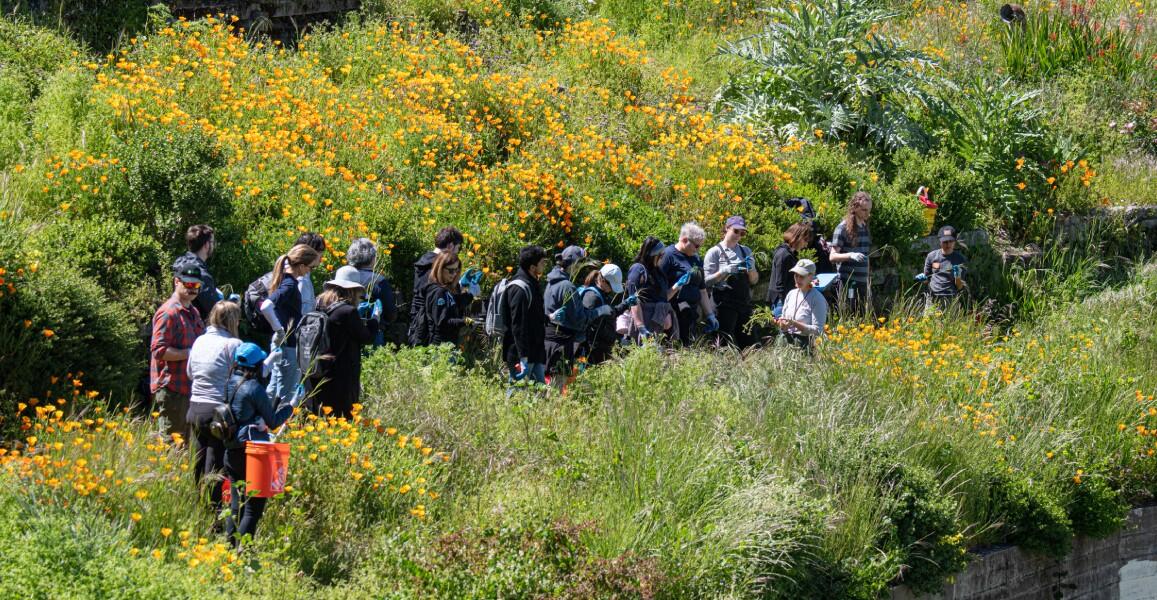 Earth Week in the Golden Gate National Recreation Area