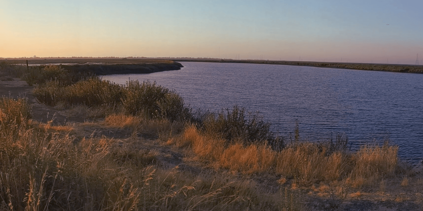 Bair Island Sunset Walk