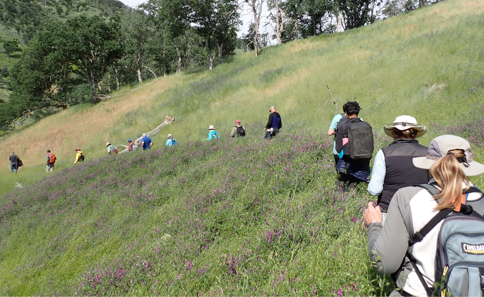 Bay Nature Events