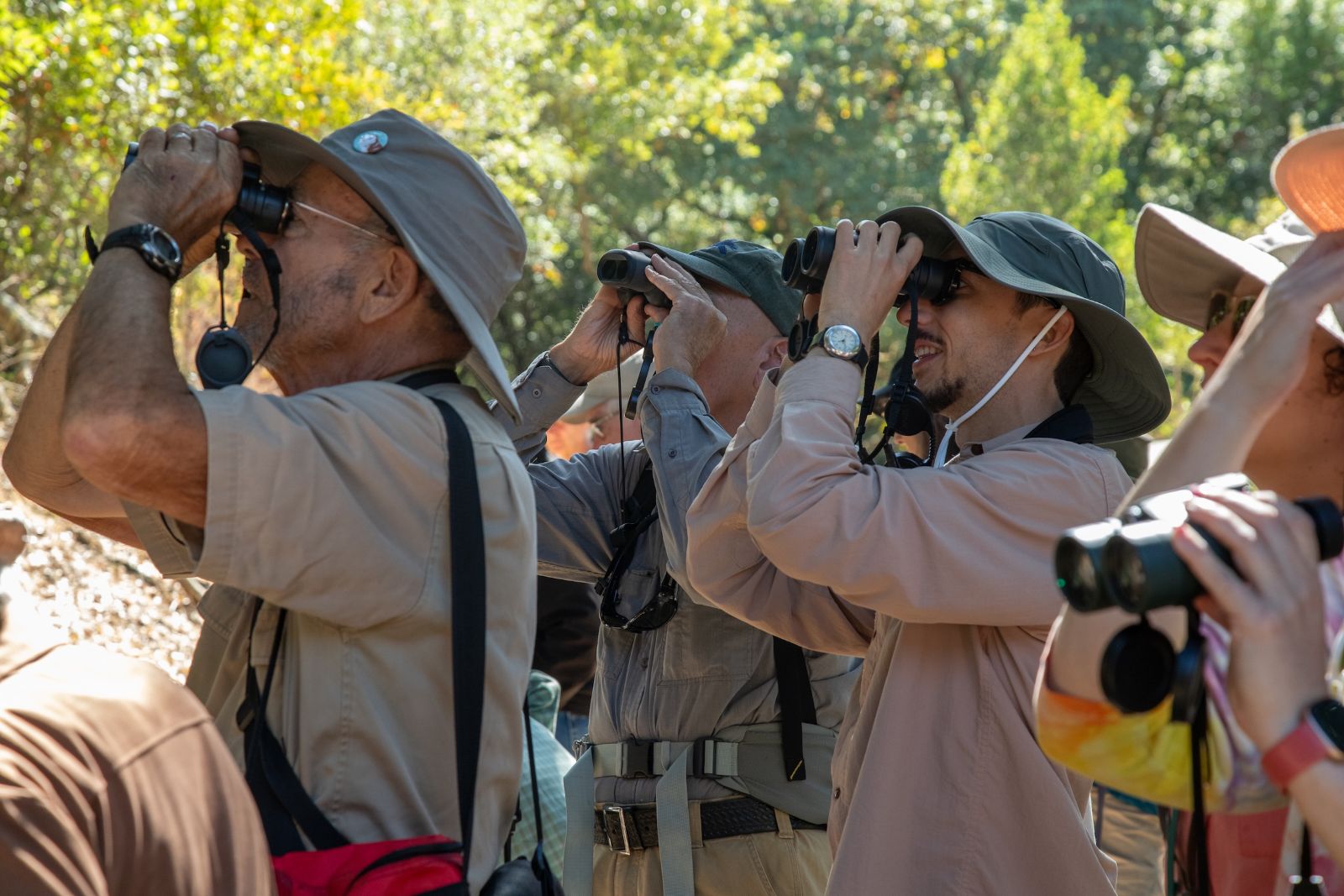 Bay Nature Bioblitz: Find Your Biobliss 2.0 - Bay Nature
